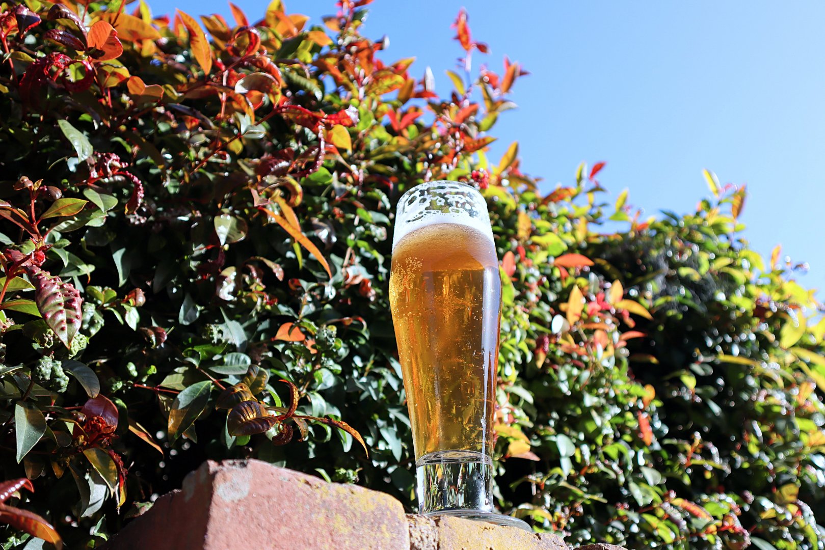 Pilsner - German Pilsner (Pils) (BJCP 2008) - Beer Recipes | Brewer's ...
