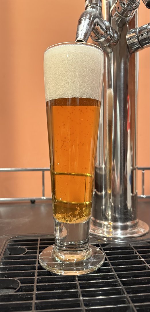 Pale Malty European Lager - Munich Helles - Beer Recipes | Brewer's Friend