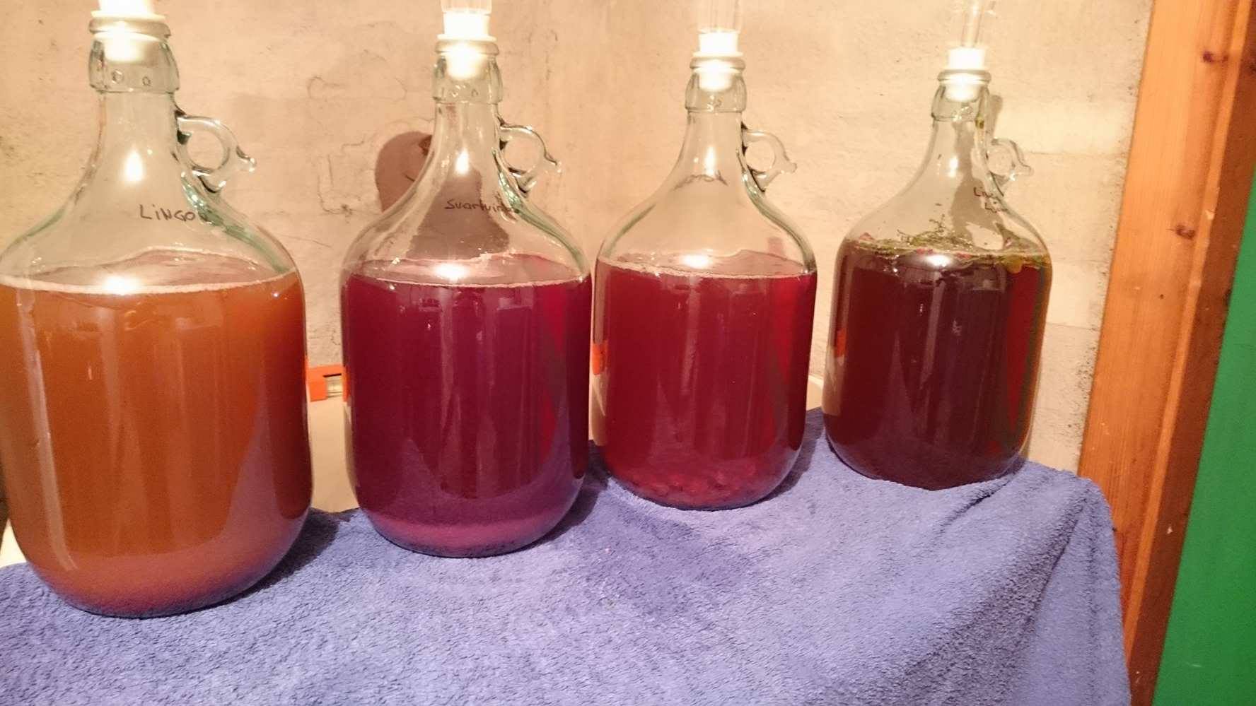 Fruit Beer - Specialty Fruit Beer - Beer Recipes | Brewer's Friend