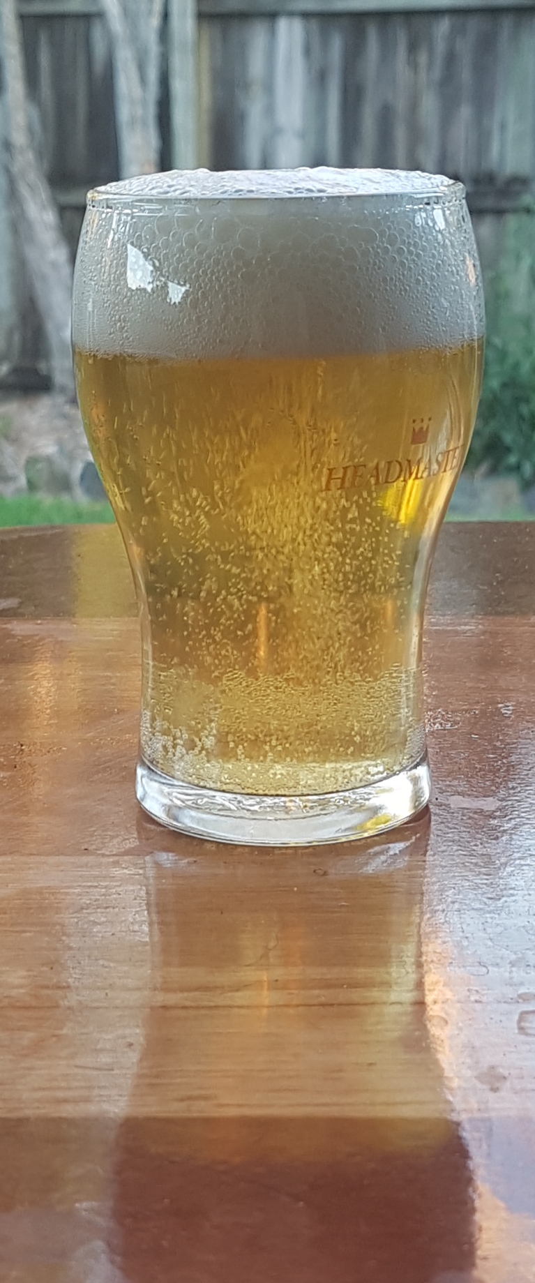 International Lager - International Pale Lager - Beer Recipes | Brewer ...